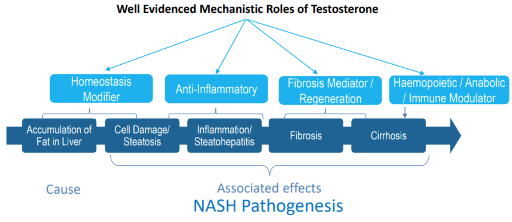 Zacks Small Cap Research - LPCN: Androgen Therapy in NASH: A ...