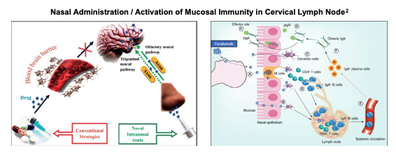 Zacks Small Cap Research - TLSA: Nasally-administered Foralumab Trial ...