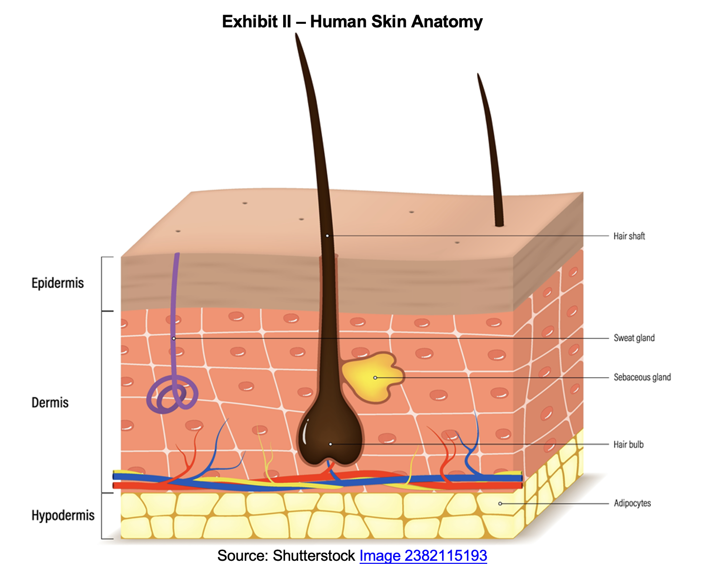 Zacks Small Cap Research - AZTR: A Brief Introduction to Precision ...